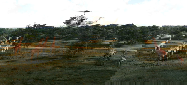 Vuu-Safari camp airport + animals for Microsoft Flight Simulator | MSFS