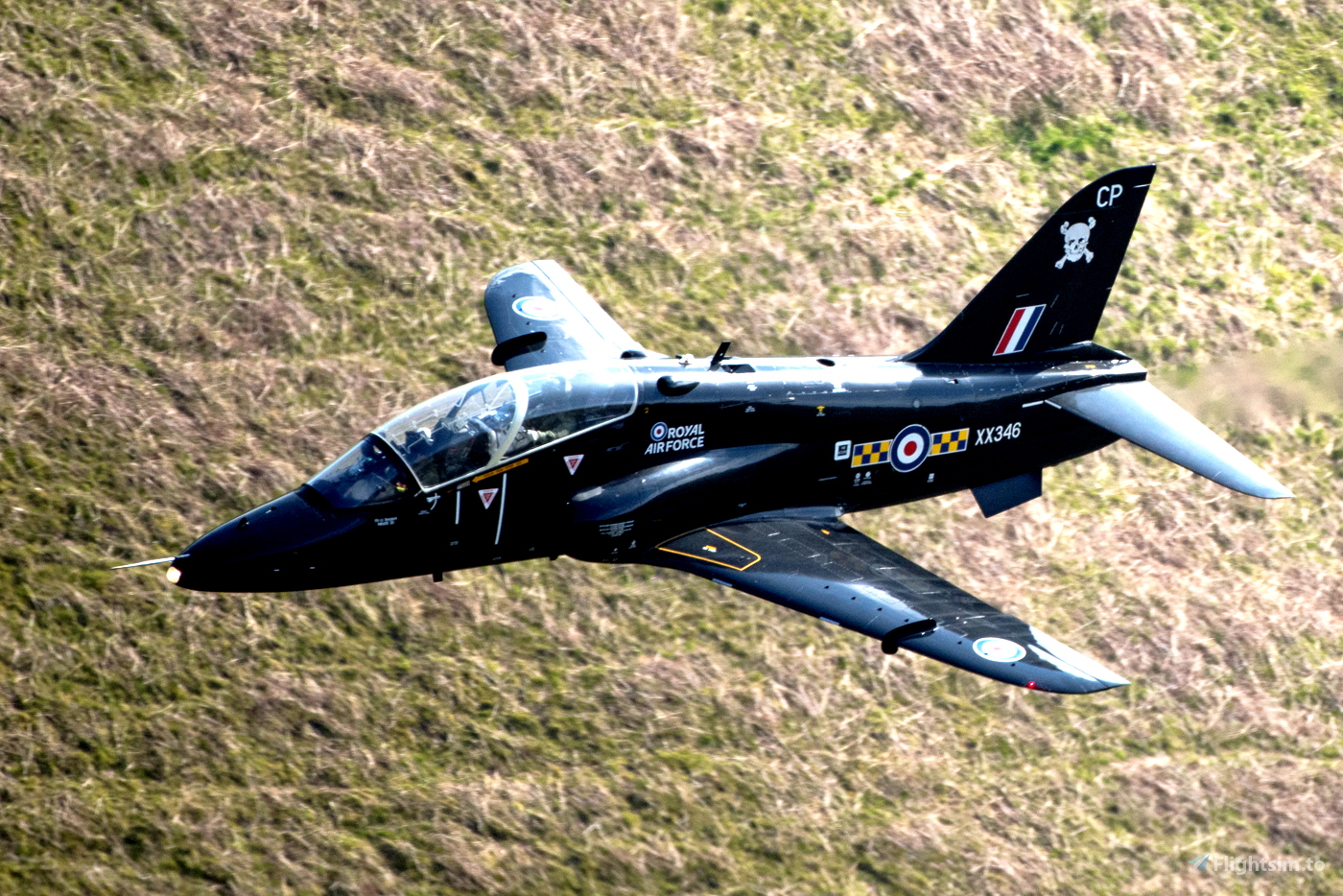 Liveries Requests - RAF Hawk T1 - Flightsim.to