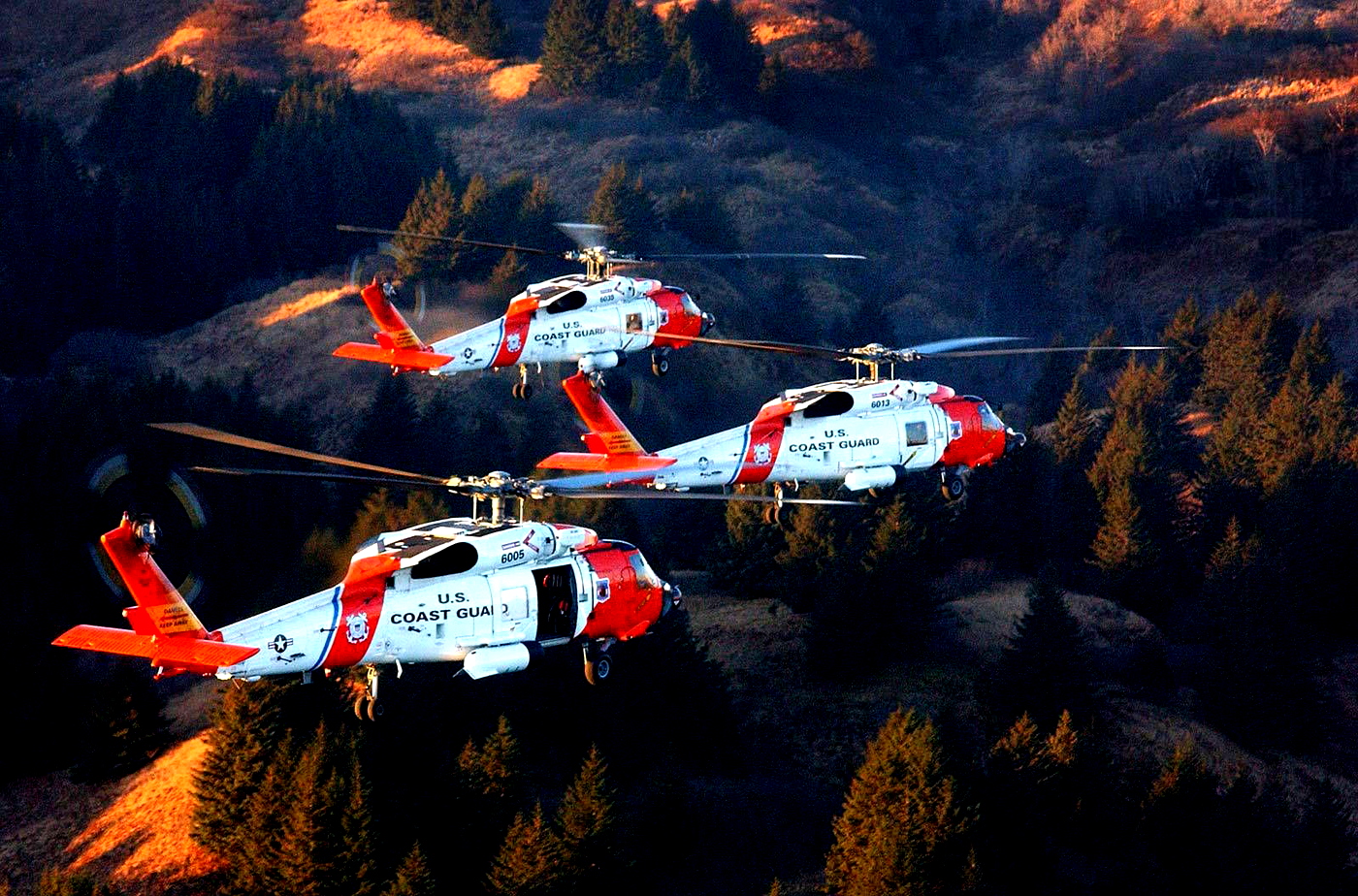 Sceneries Requests - Kodiak Alaska SAR Base - Flightsim.to