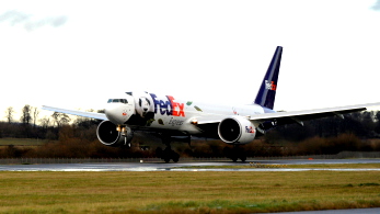 Liveries Requests - FedEx Panda livery 777f - Flightsim.to