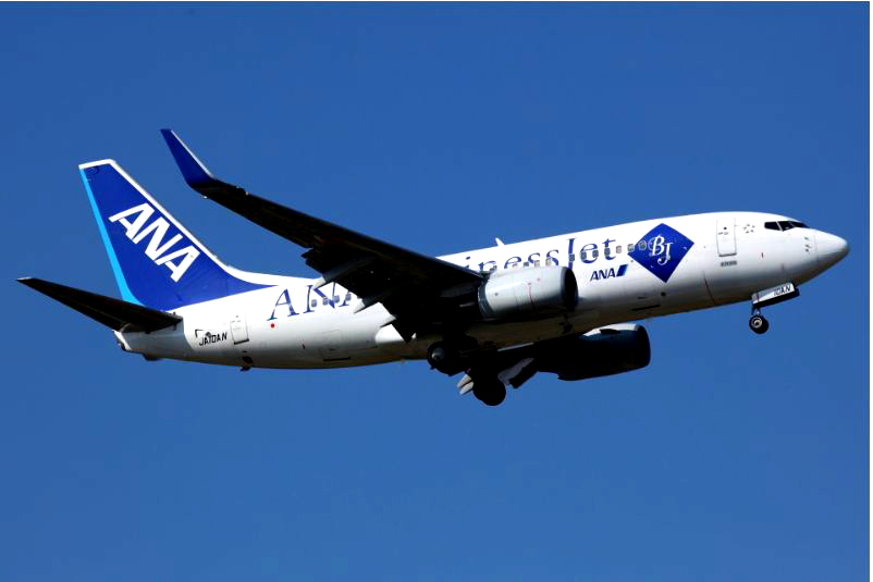 Liveries Pyynnöt - ANA Business Jet JA10AN - Flightsim.to
