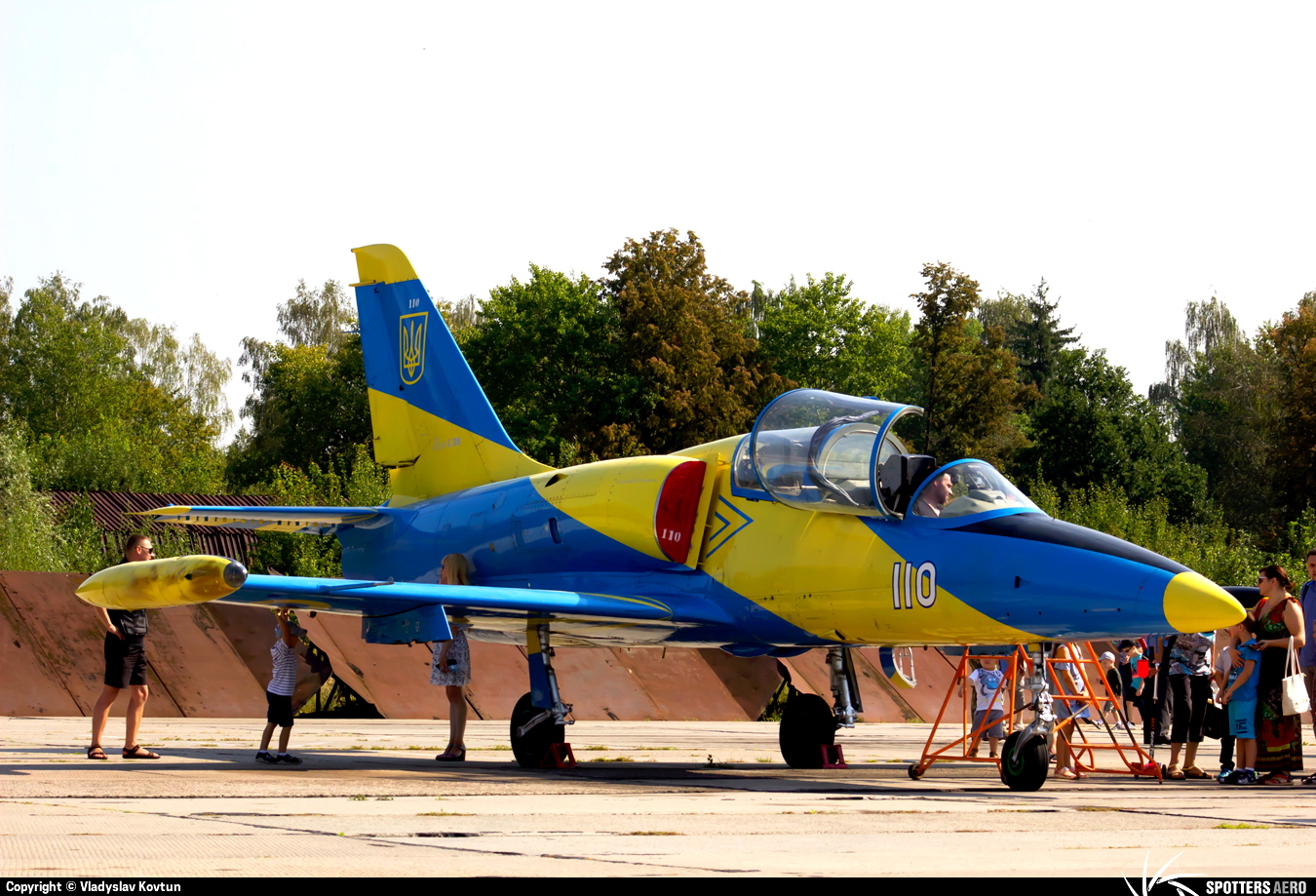 Liveries Anfragen - Ukrainian Falcons aerobatic team L-39 - Flightsim.to