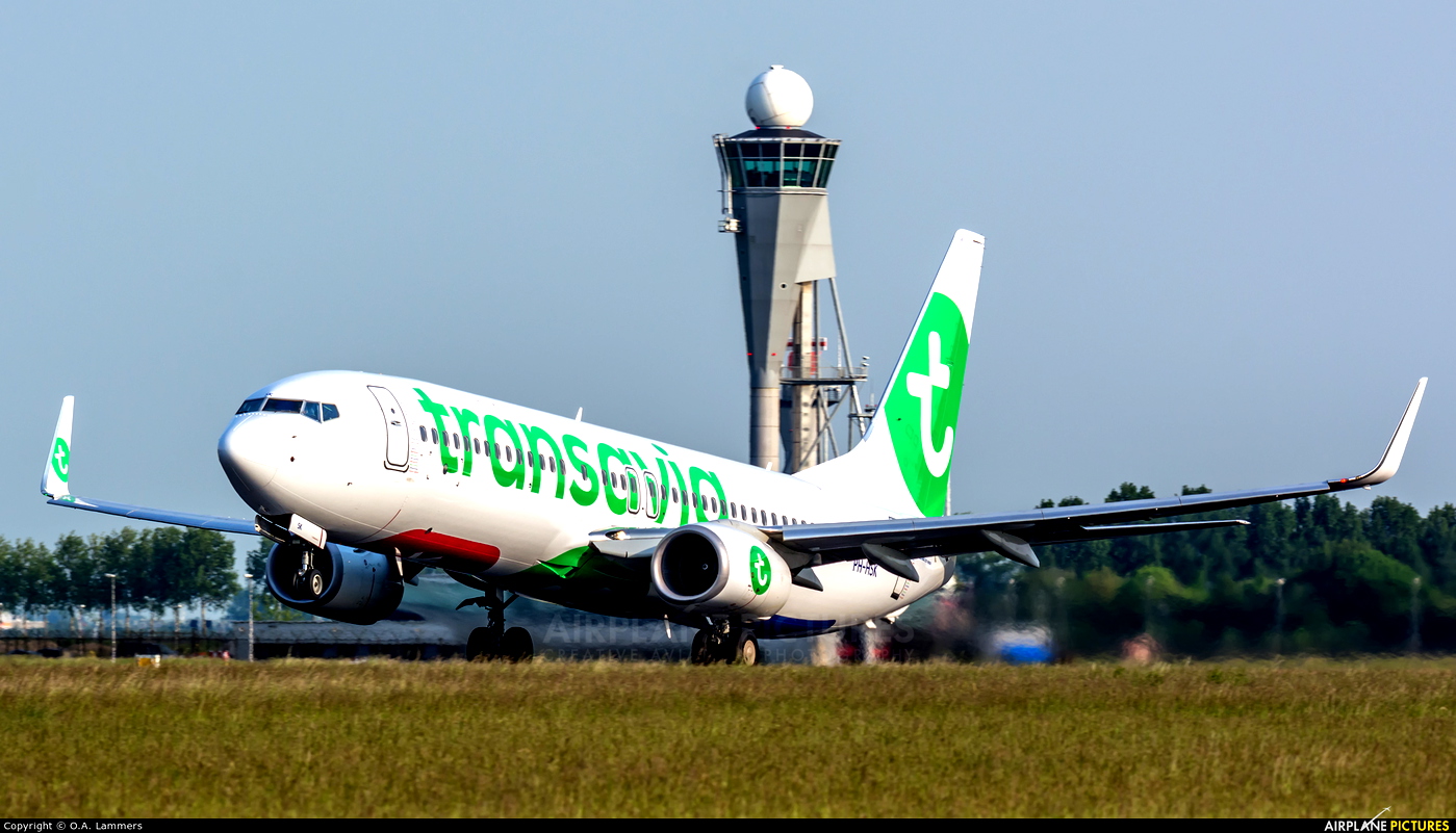 Liveries Requests - Transavia B737-600 - Flightsim.to