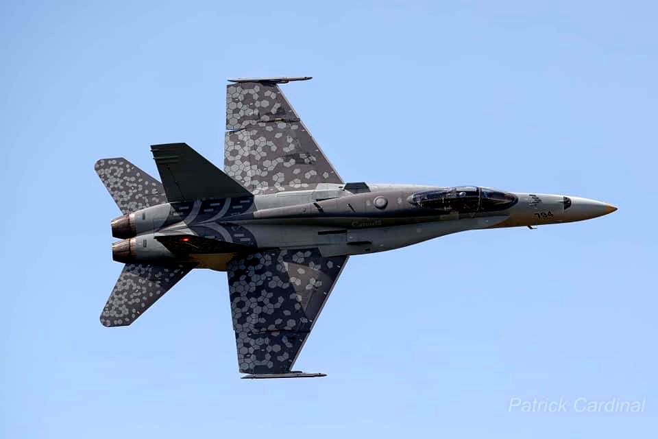 Liveries Demandes - 2022 CF-18 Demo Jet livery - Flightsim.to