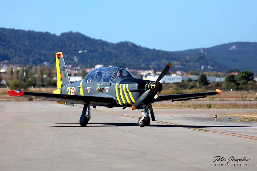 Liveries Requests - Azurpoly Epsilon TB30 / FAP 100.000H - Flightsim.to