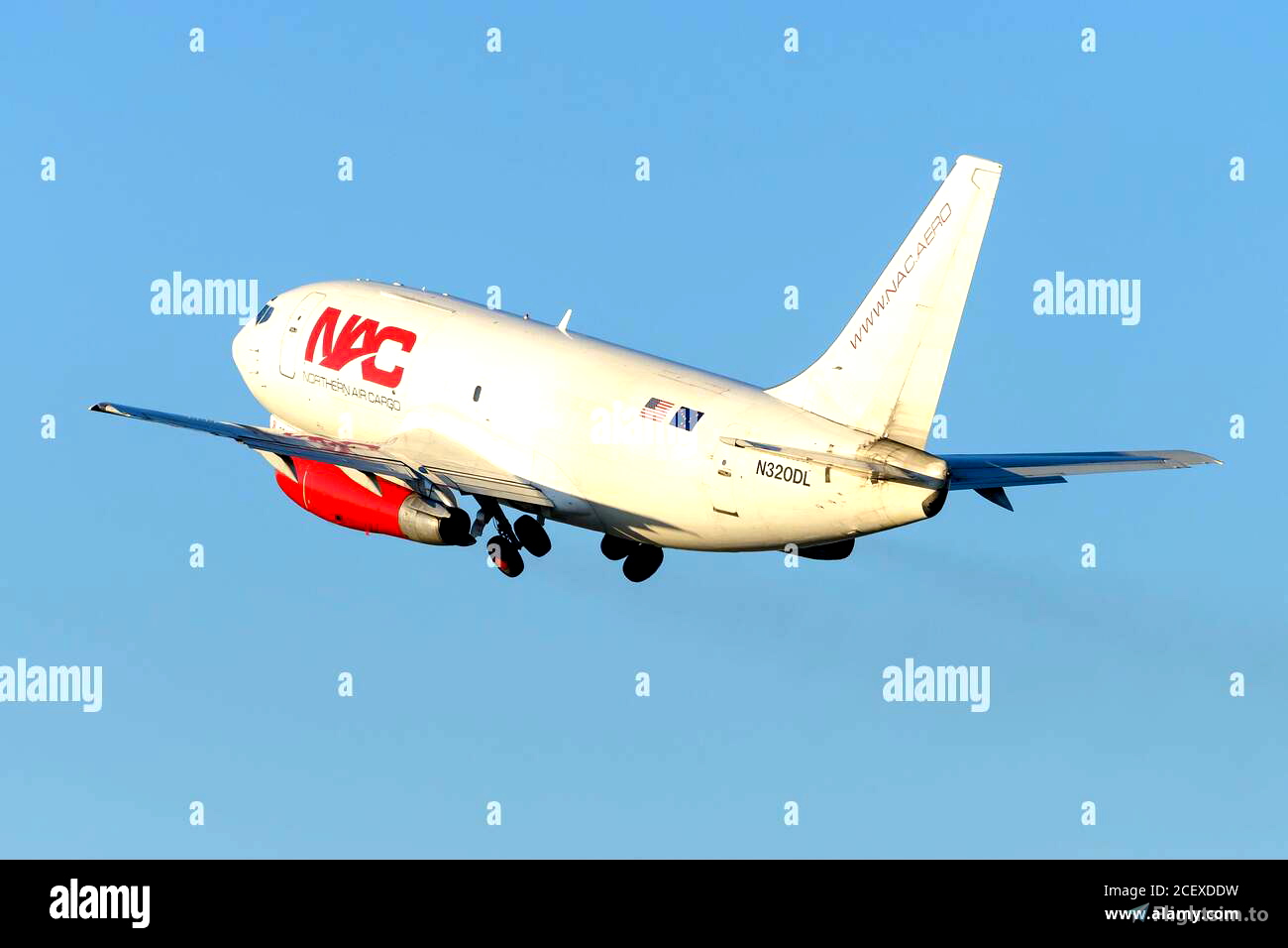 Liveries Requests - NAC 737-600 - Flightsim.to