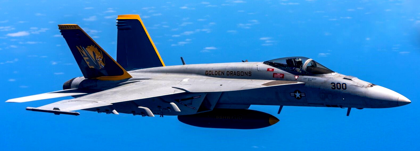 Liveries Requests - VFA-192 World Famous Golden Dragons F/A-18E, CAG ...