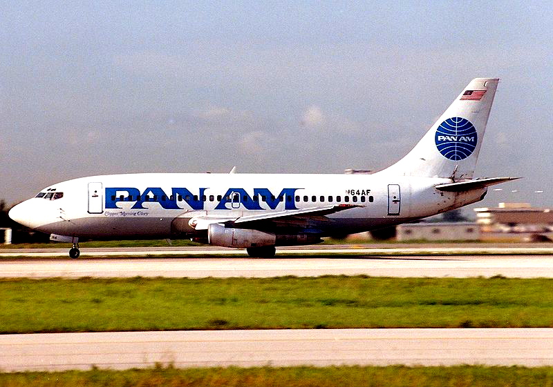 Liveries Requests - Pan Am (Billboard w/ Metallic Belly) PMDG 737-700 ...