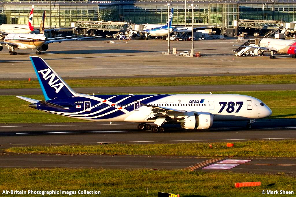 Liveries Requests - All Nippon Airways (ANA) Boeing 787-8 (JA801A ...