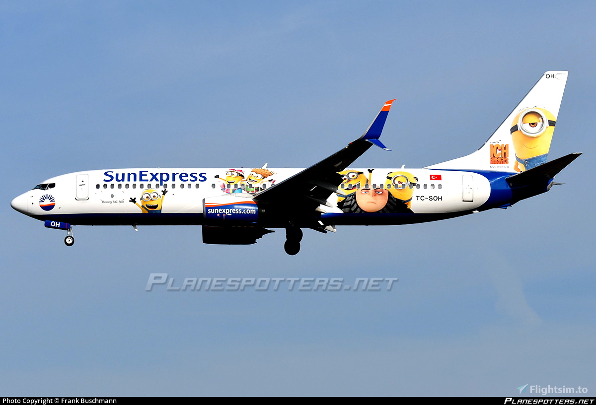 Liveries Requests - TC-SOH SunExpress Minions - Flightsim.to