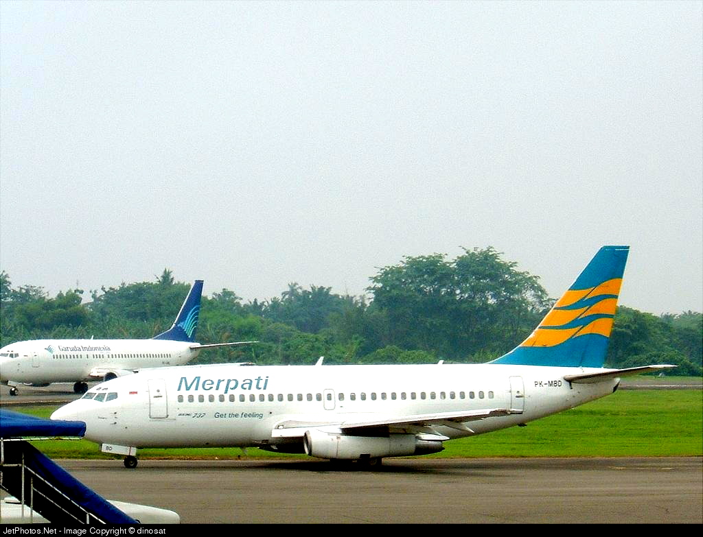 Liveries Requests - PMDG 737-800 Merpati Air - Flightsim.to