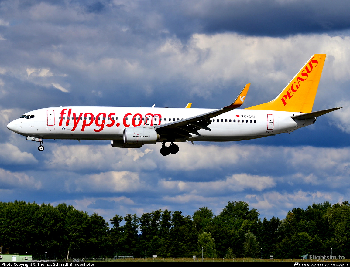 Liveries Requests - Pegasus Airlines' Active Boeing 737-800 Fleet - Flightsim.to