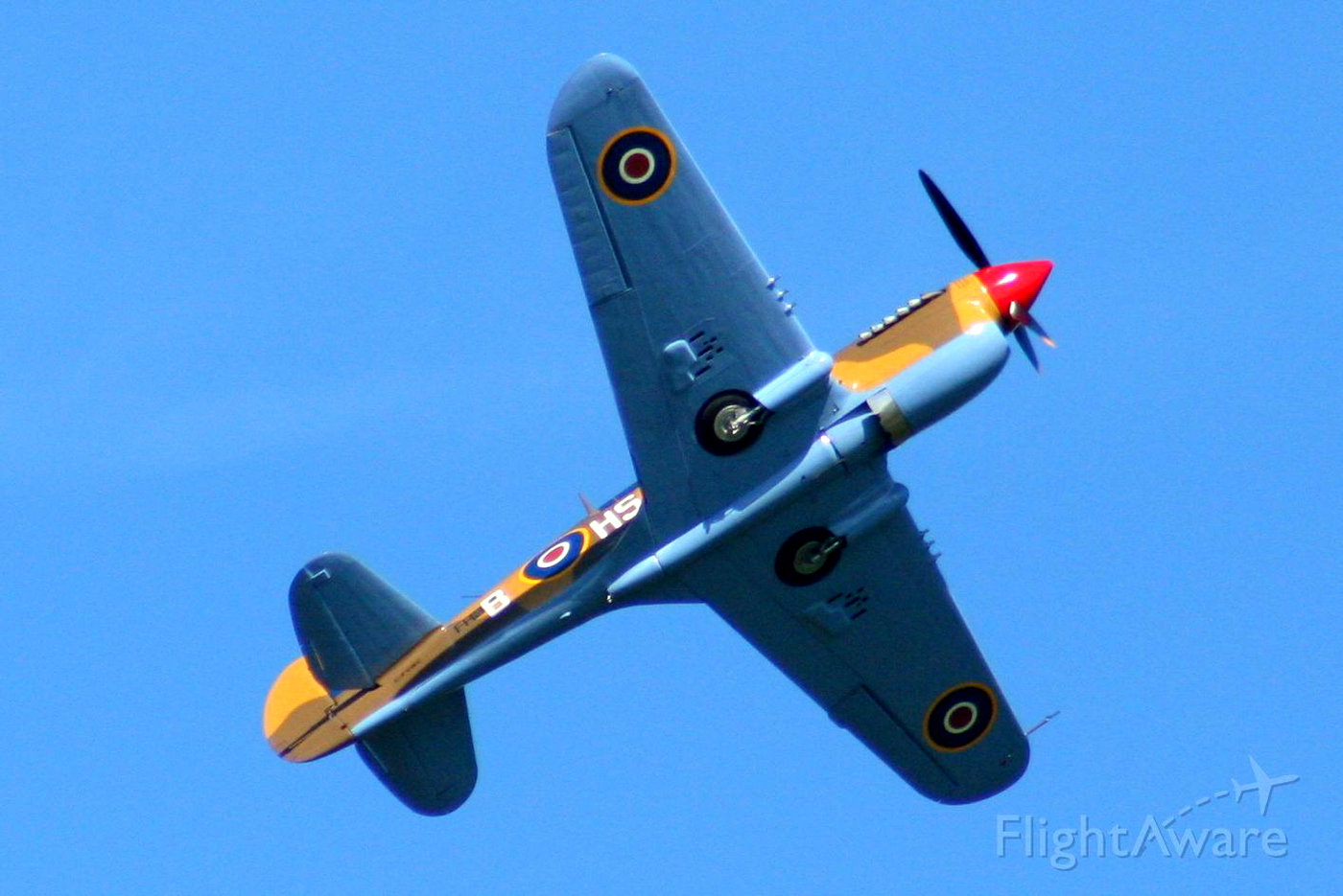 Liveries Requests - inibuilds P-40 - Flightsim.to