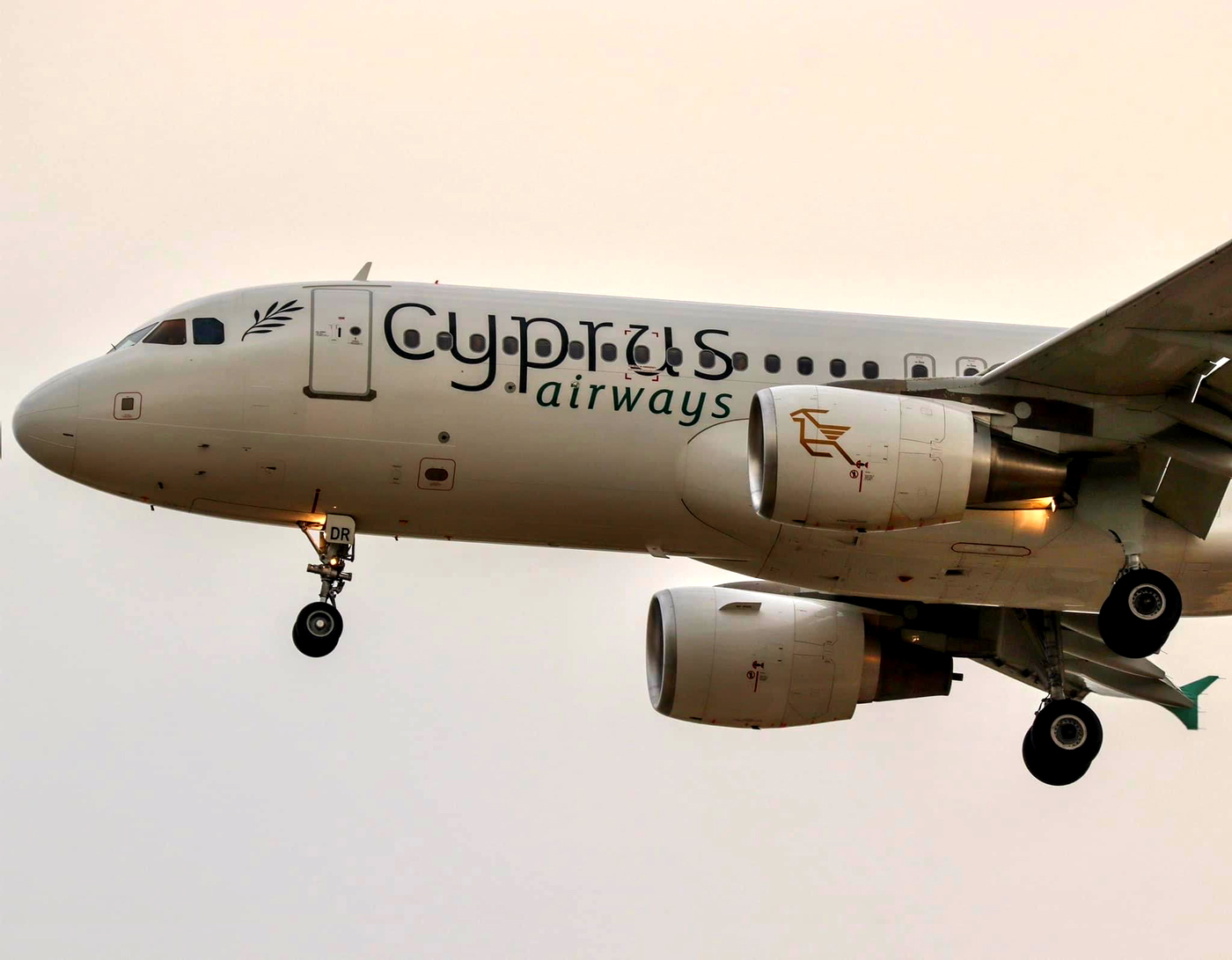 Liveries Requests - Cyprus Airways - Updated Livery - Flightsim.to