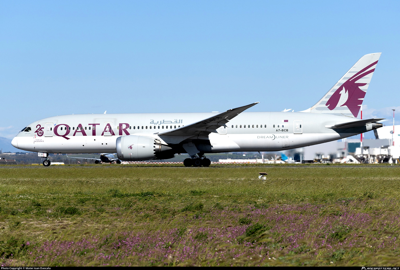 Liveries Requests - Qatar Airways B787-8 (25 Years Of Excellence) (A7 ...