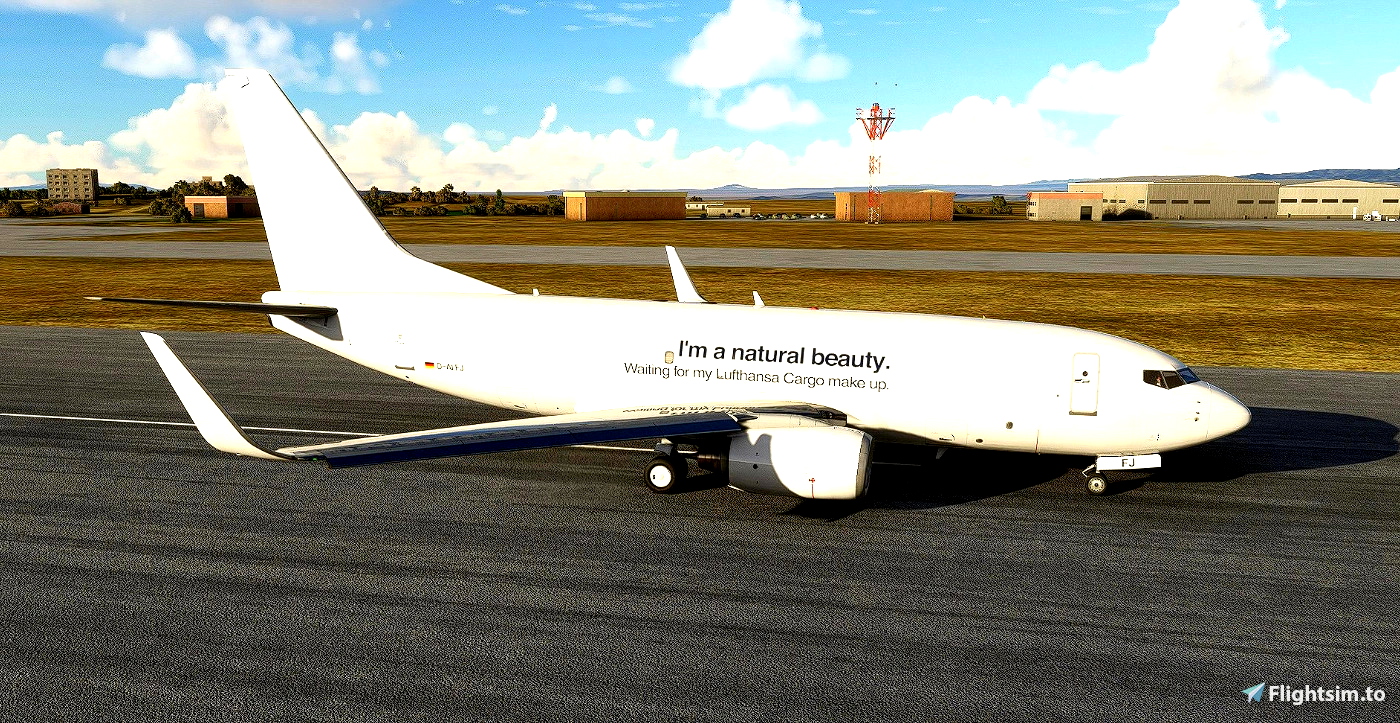 Liveries Demandes - Lufthansa Cargo (D-ALFJ) PMDG 737-800BDSF - 8K ...