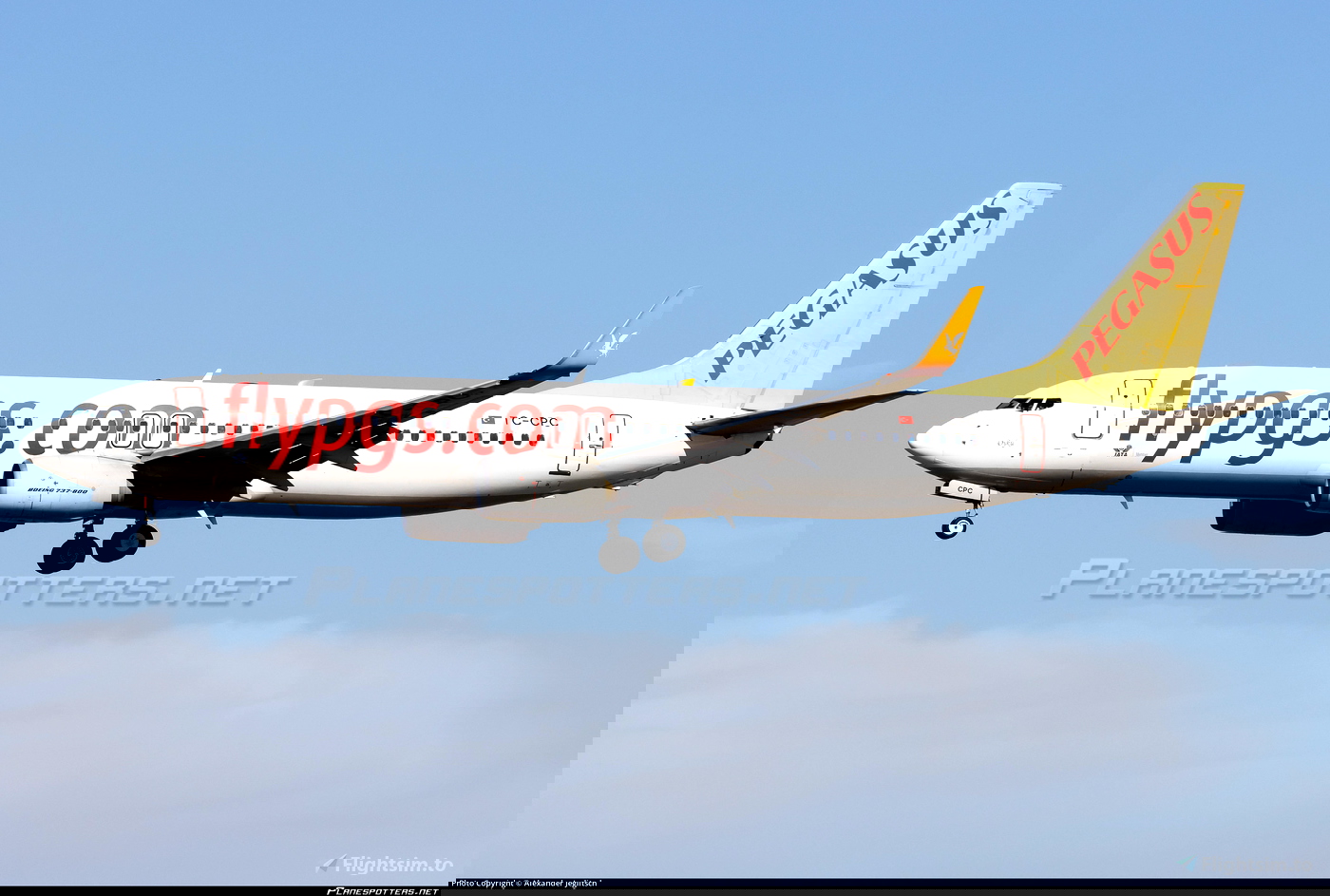 Liveries Requests - Pegasus Airlines' Active Boeing 737-800 Fleet - Flightsim.to