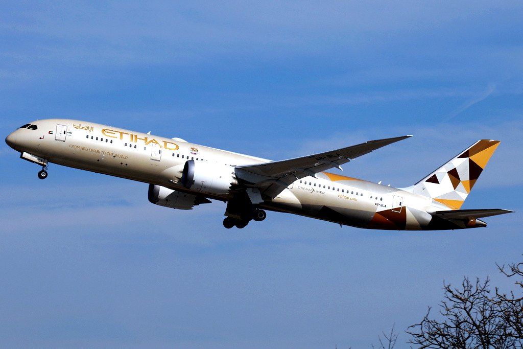Liveries Requests - 787 Etihad Oreiginiall Livery - Flightsim.to