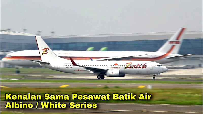 Liveries Requests - PMDG 737-800 Batik Air White Livery - Flightsim.to