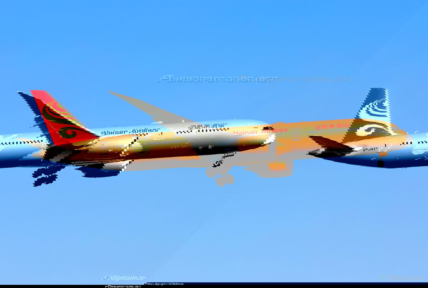 Liveries Requests - Hainan Airlines Gold Livery B787-10 - Flightsim.to