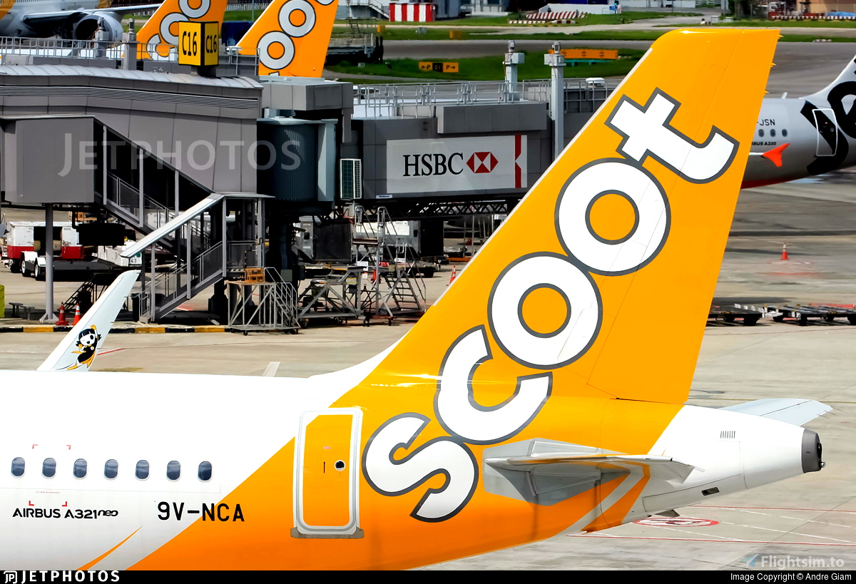 Liveries Requests - Scoot A321neo - Flightsim.to