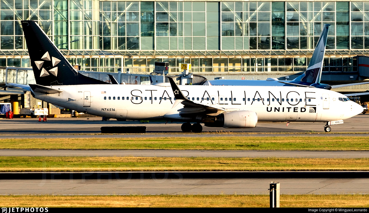 Liveries Requests - united 737-800 star alliance (all black) - Flightsim.to