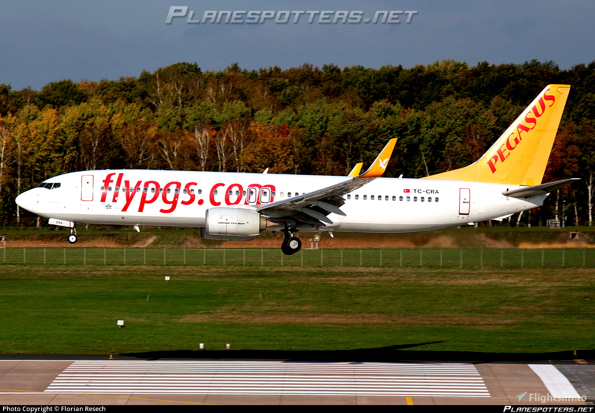Liveries Requests - Pegasus Airlines' Active Boeing 737-800 Fleet - Flightsim.to