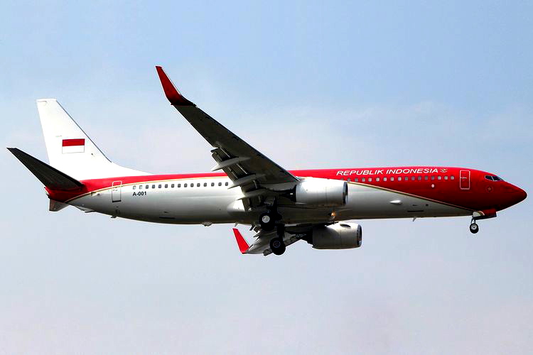 Liveries Requests - PMDG 737-800 Republik Indonesia Aircraft - Flightsim.to