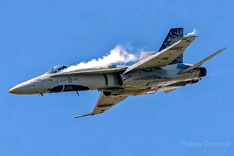 Liveries Requests - RCAF CF-18 Demo Jet 2022 Livery - Flightsim.to