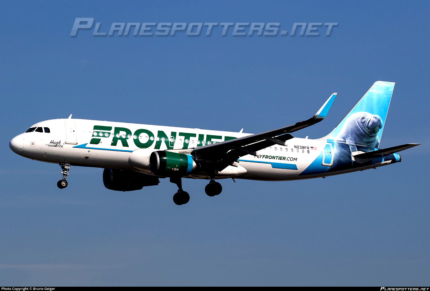 Liveries Requests - Frontier Livery on PMDG 700 - Flightsim.to