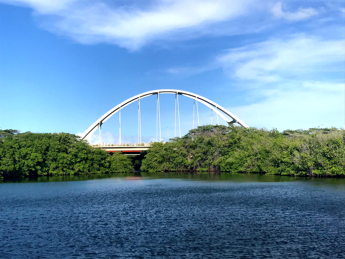 Sceneries Requests - The Aruba - Green Corridor bridge - Flightsim.to