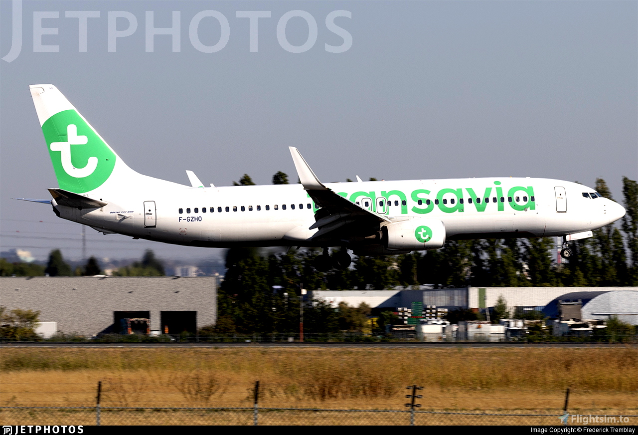Liveries Requests - Transavia France F-GZHF F-HUYJ - Flightsim.to