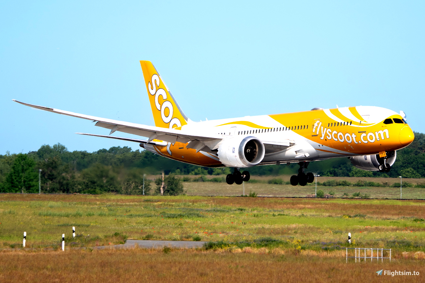 Liveries Requests - Scoot 787-8 9V-OFJ - Flightsim.to
