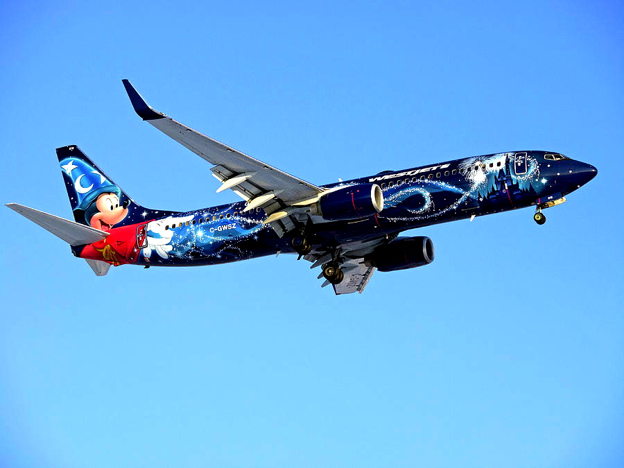 liveries-requests-737-600-westjet-disney-flightsim-to