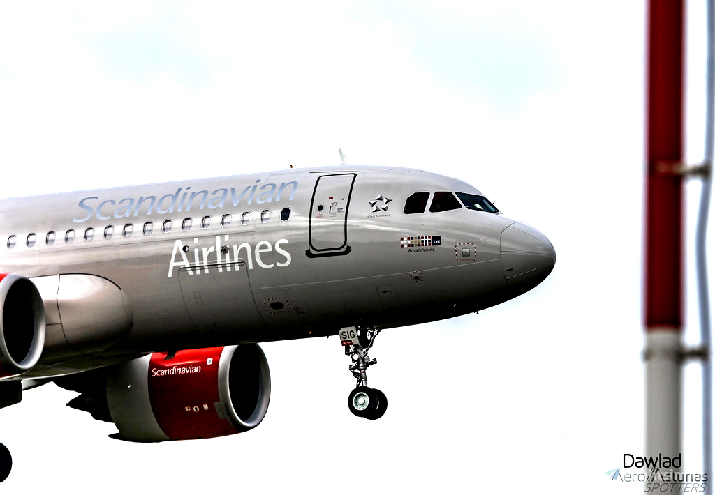 Liveries Requests - Old SAS, EI-SIG. Amlaib Viking - Flightsim.to