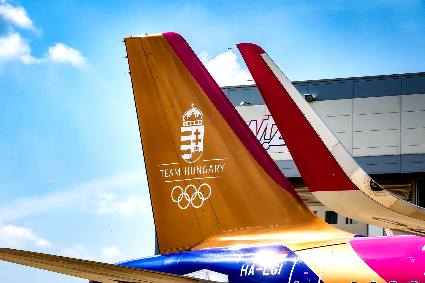Liveries Requests - WIzz AIr HA-LGI 2024 Olympic Livery for LVFR ...