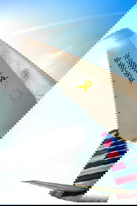 Liveries Requests - Envoy Air E175 "In support of all who serve ...