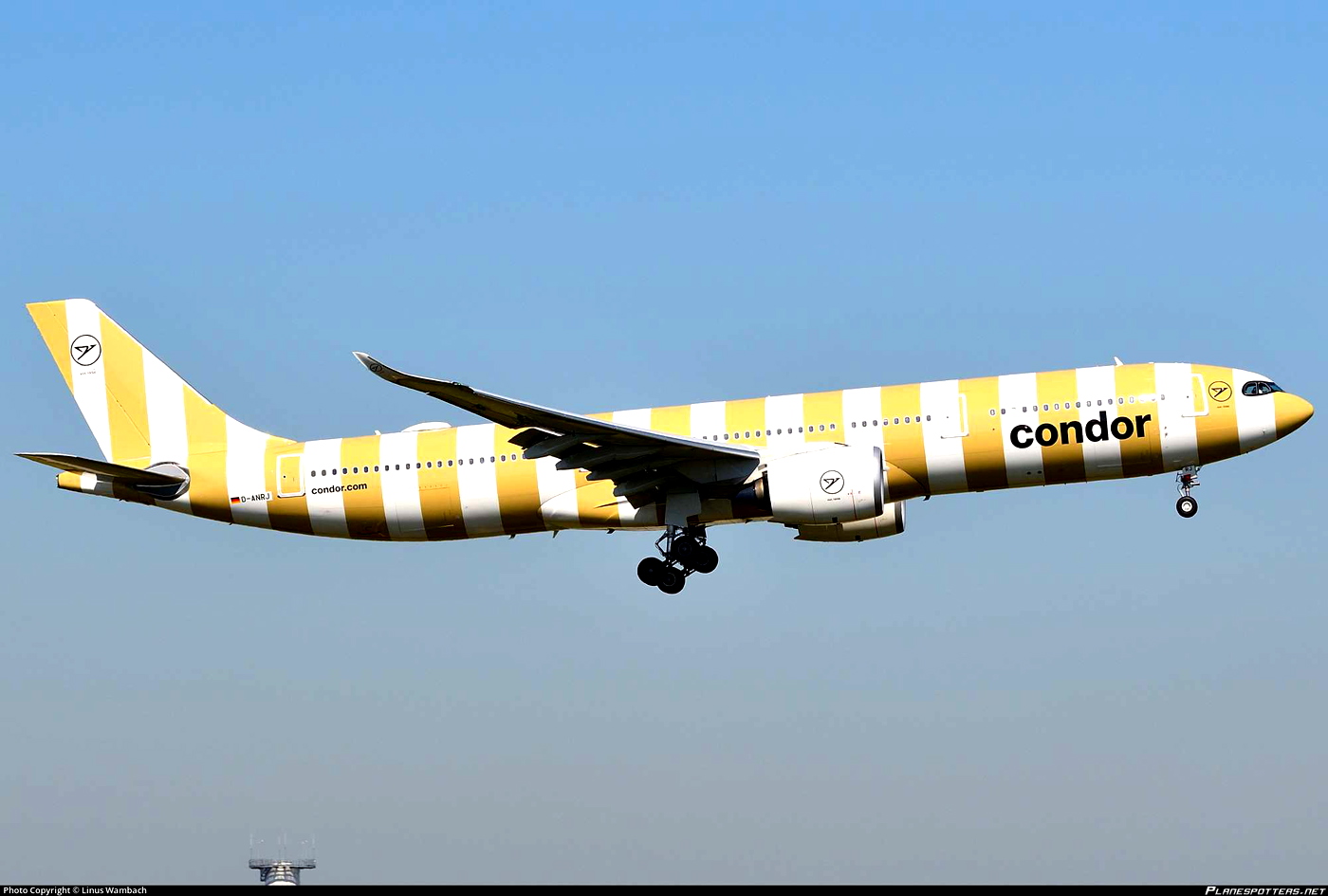 Liveries Requests - Condor Beige strippes - Flightsim.to