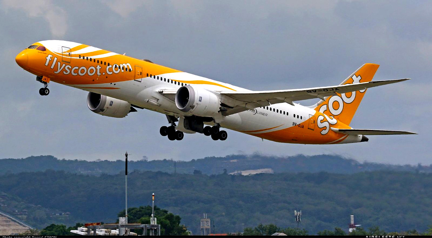 Liveries Requests - Scoot A339 - Flightsim.to