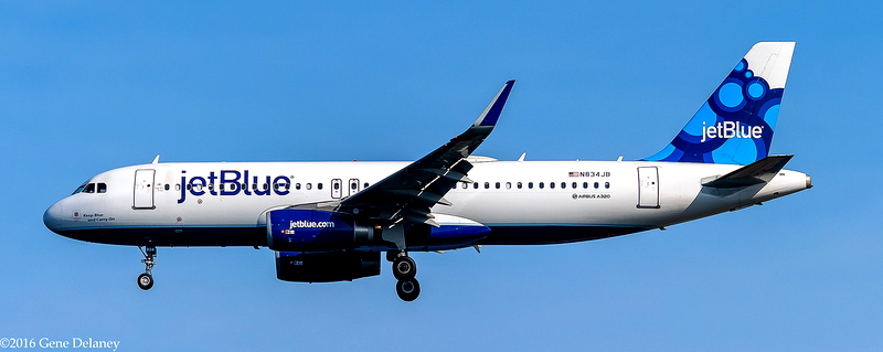 Liveries Requests - Jetblue BlueBerries Livery - Flightsim.to