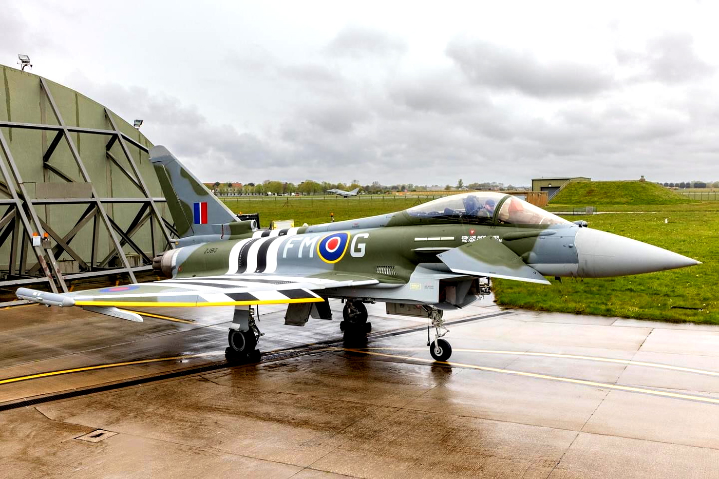 Liveries Requests - ZJ913 2024 TYPHOON DISPLAY JET "MOGGY" - Flightsim.to