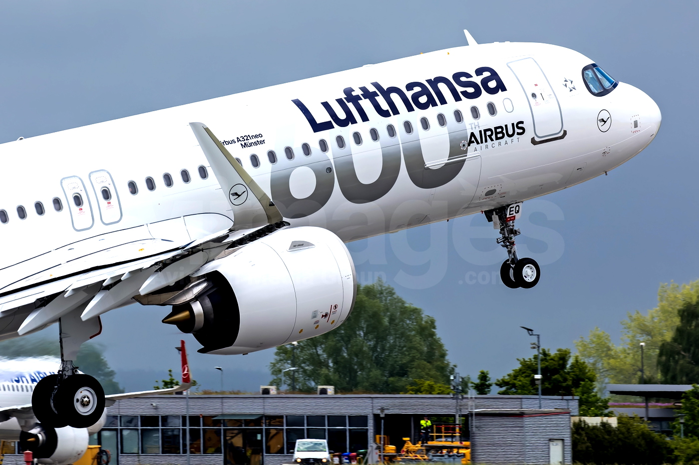 Liveries Requests - Lufthansa A321NEO '600th Airbus' D-AIEQ - Flightsim.to