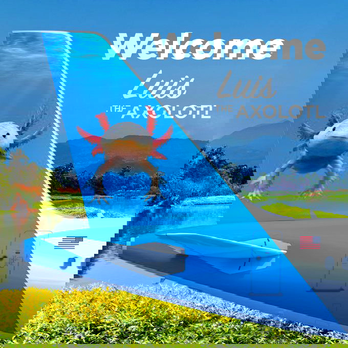 Liveries Requests - Frontier Airlines | Luis the Axolotl | N606FR ...