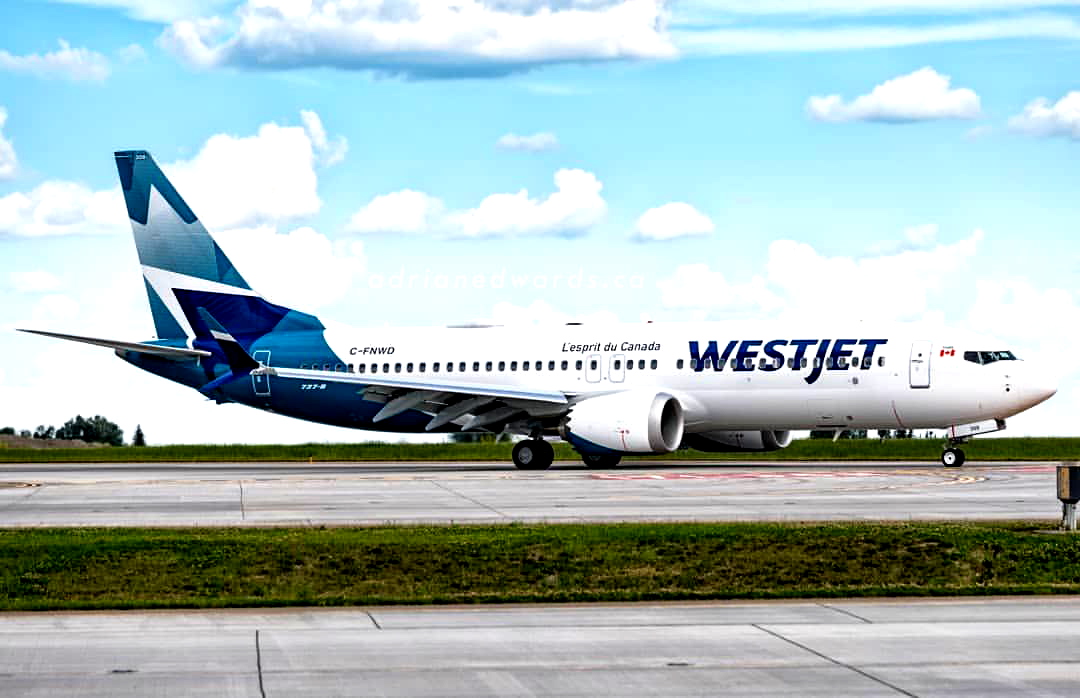 Liveries Requests - westjet 737-900 livery - Flightsim.to