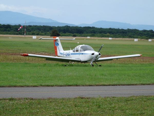 Liveries Requests for Microsoft Flight Simulator - Flightsim.to