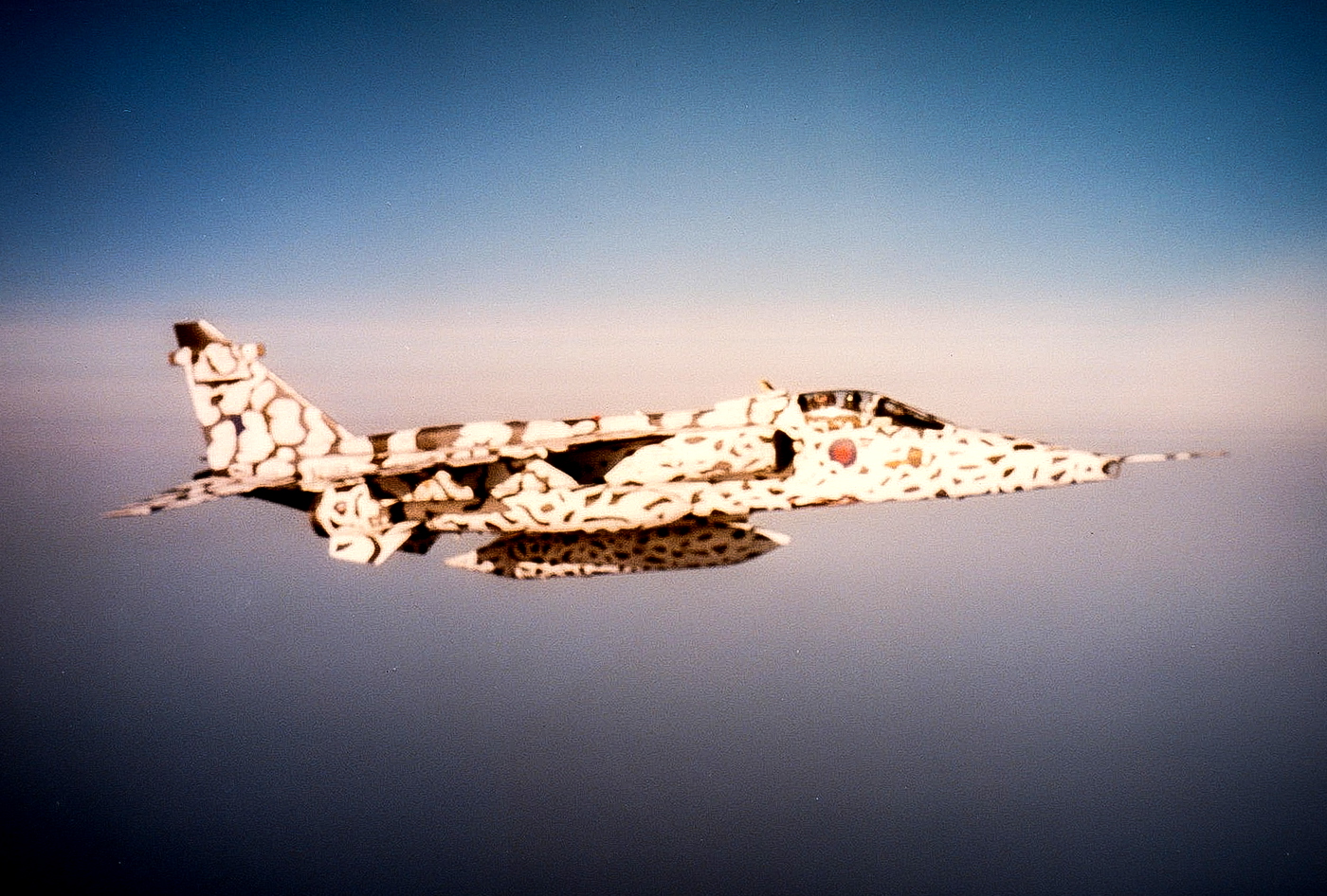Liveries Requests - RAF 41 Squadron Jaguar - 'Snow Camo' - Flightsim.to