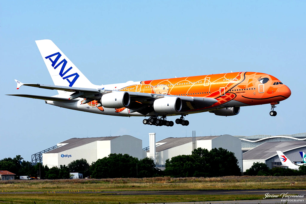 Liveries Requests - ANA Orange Turtle Livery (JA383A) - Flightsim.to