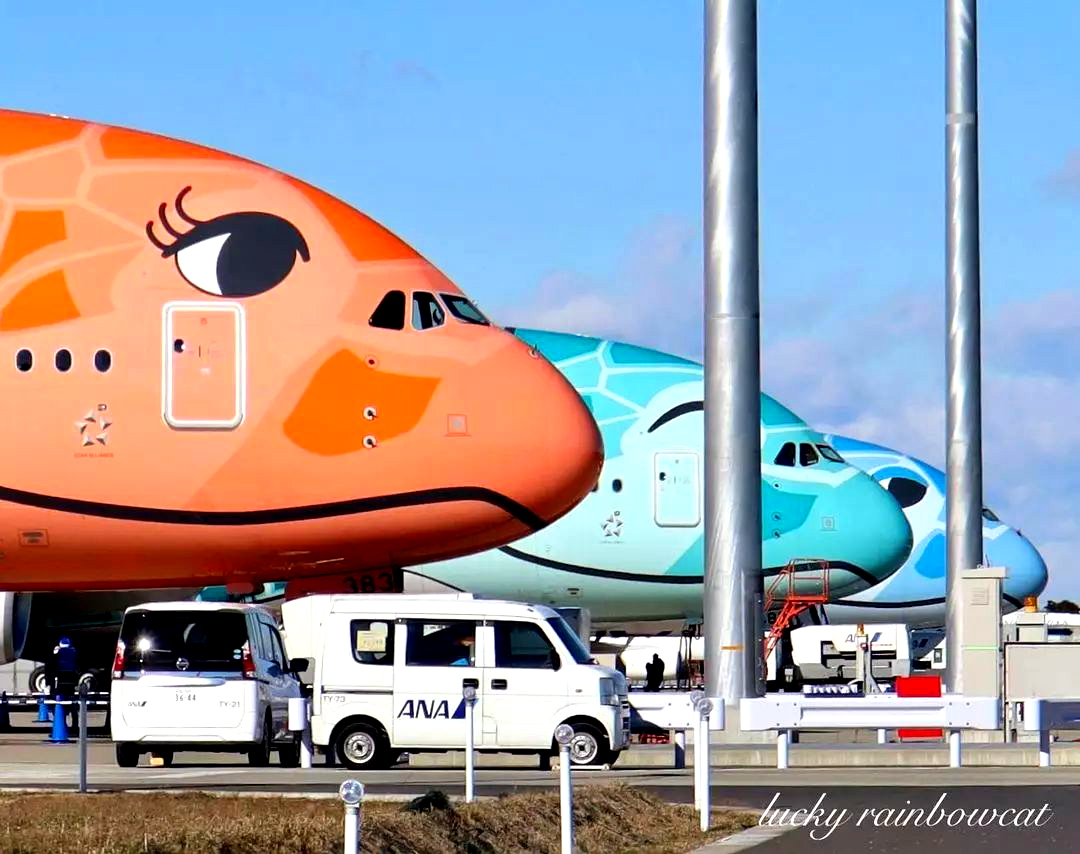 Liveries Requests - ANA A380/FLYING HONU Fleet Request - Flightsim.to