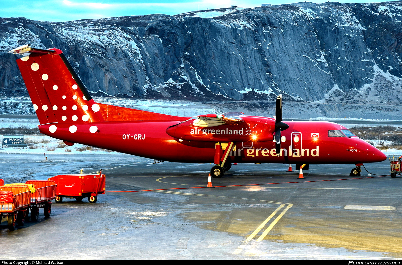 Liveries Anfragen - Virtualcol Dash 8-100 - OY-GRJ- Air Greenland ...