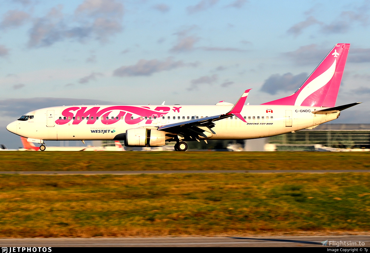 Liveries Requests - Swoop Operated by WestJet Livery - Flightsim.to